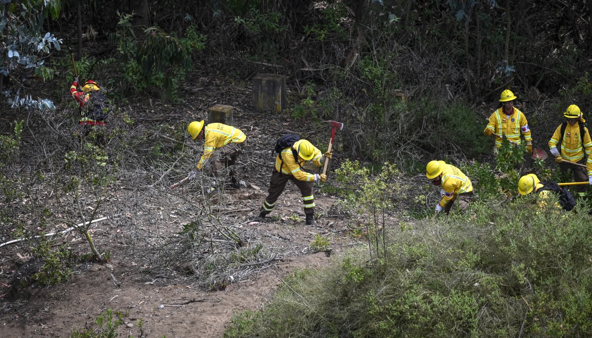 Decretan alerta roja en Paihuano por incendio forestal | Puranoticia.cl Decretan alerta roja en Paihuano por incendio forestal | Puranoticia.cl