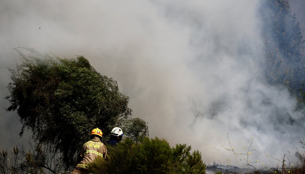 Ordenan Evacuar Cinco Sectores De La Comuna De Viña Del Mar Por
