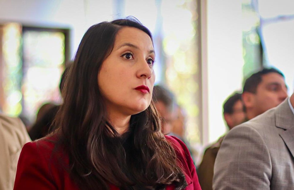 Corte De Apelaciones Rechaza Recurso De Protección Interpuesto Por